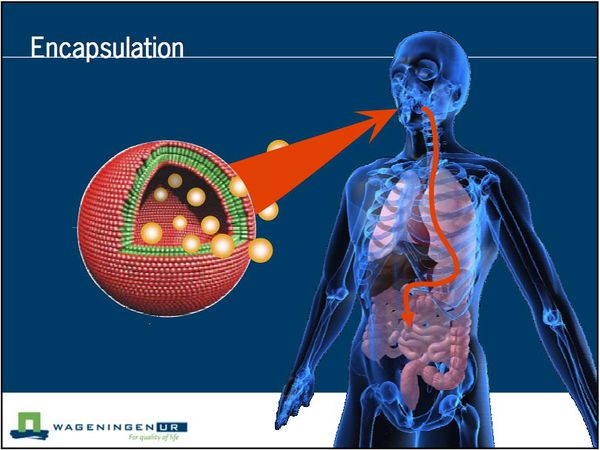 Nanoemulsions in foods - DolceraWiki